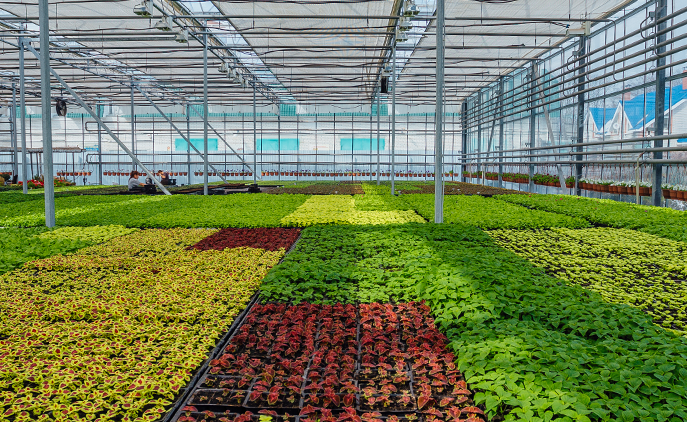 Agriculture Labels and Tags - IndustriTAG by GA International